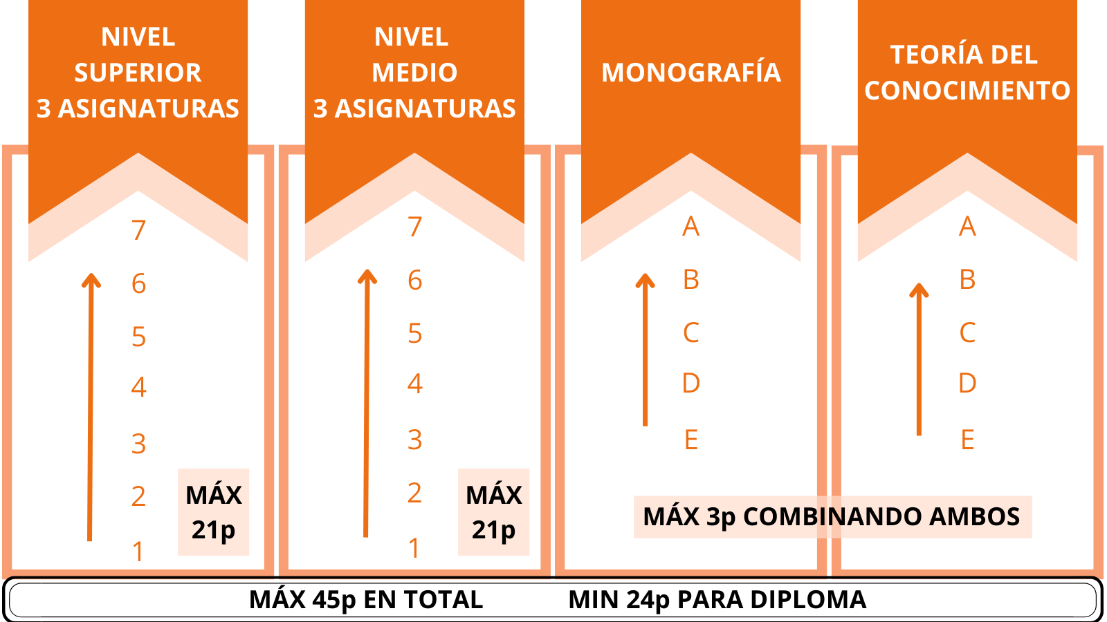 Acceso a la Universidad desde el Bachillerato Internacional - TAE